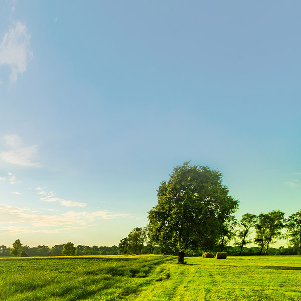 Careers at County Insurance