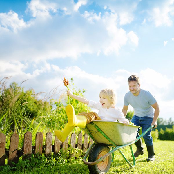 Prestigious and Listed Home Insurance Specialists