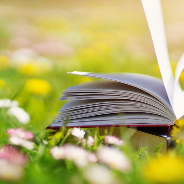£100 book voucher competition | County Insurance Services Limited